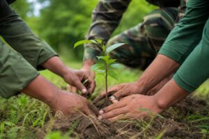 Bangladesh names 21 winners for National Tree Plantation Awards 2025